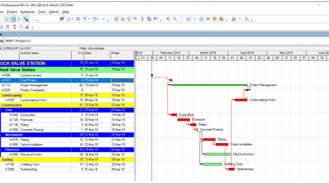 Cost Loading in Oracle Primavera P6 - projectcubicle