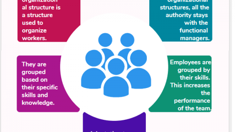 What is a Projectized Organizational Structure? - projectcubicle