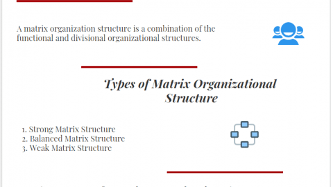 Functional Organizational Structure Advantages - projectcubicle