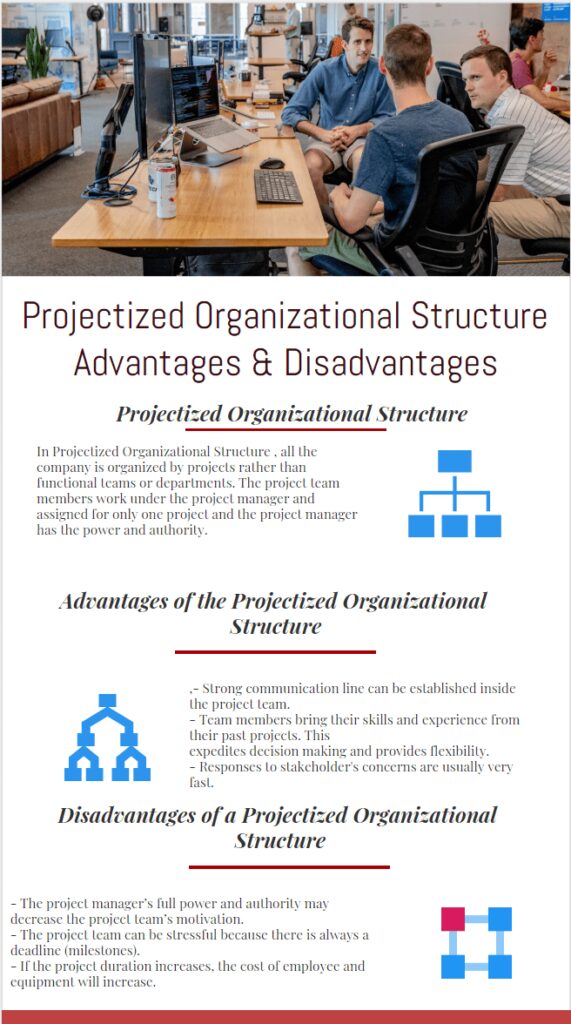 What is a Projectized Organizational Structure?
