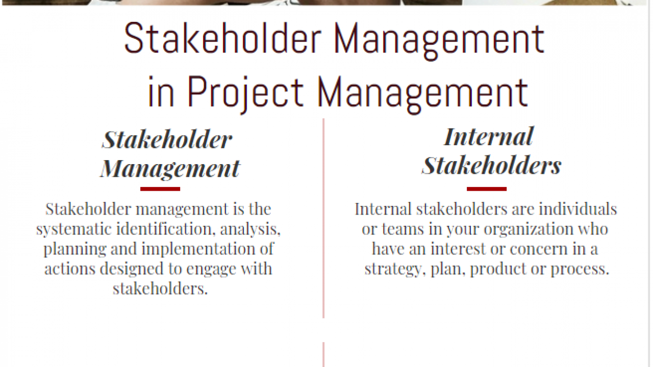 Stakeholder Mapping Matrix in Stakeholder Management - projectcubicle
