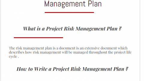 Risk Management Terms and Short Definitions - projectcubicle