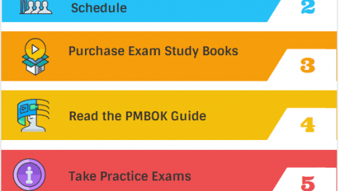 Project Sponsor Definition, Role and Responsibilities - projectcubicle