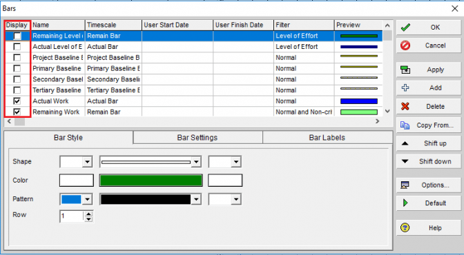 Primavera P6 Bar Labels Explained