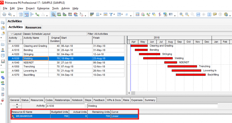 Primavera P6 Resource Curves Explained
