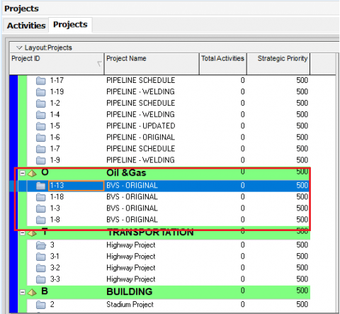 Primavera Project Portfolio Management [2024]
