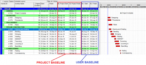 Schedule Baseline and User Baseline in Primavera P6
