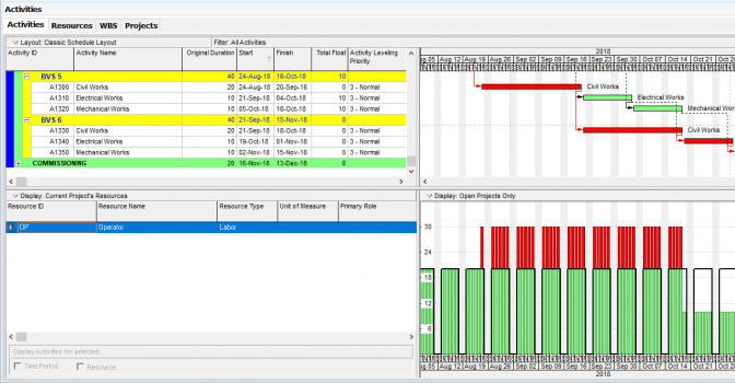 Resource Leveling Feature of Primavera P6