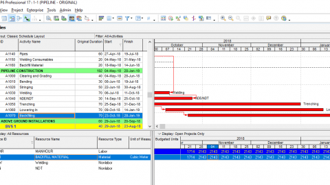 Primavera P6 Hot Key Commands (Hot Keys) - projectcubicle