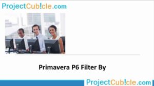 Primavera P6 Filters Explained (Filter By Feature)