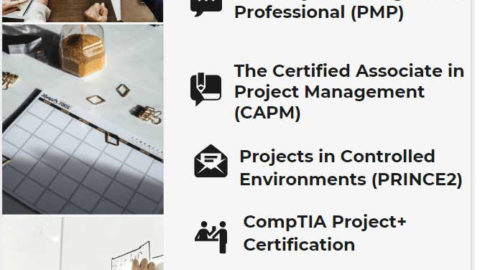 Project Management Reporting : A Short Guide - projectcubicle