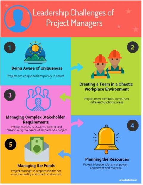 Understanding the Role of Project Manager - projectcubicle