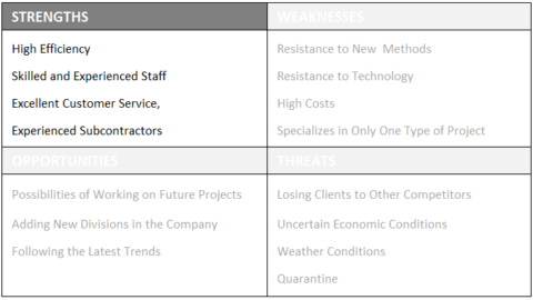 SWOT Analysis : Definition, Steps, Examples for Business