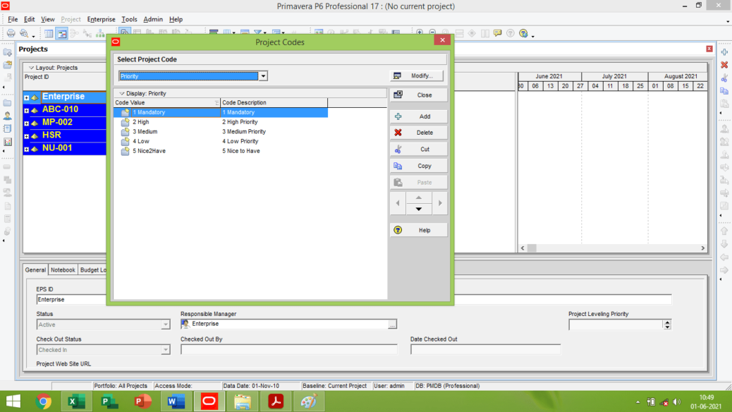 Oracle Primavera P6 Project, Activity and Resource Codes