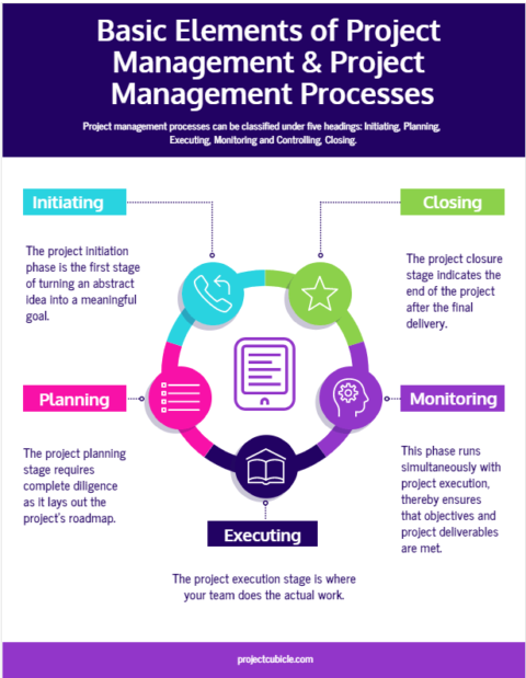 What are the Basic Elements of Project Management?
