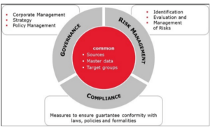 SAP Success Factors, Access Request and Risk Analysis