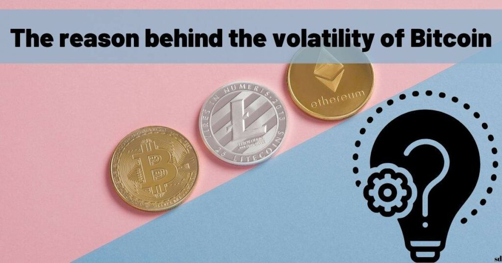The Reason Behind the Bitcoin Volatility