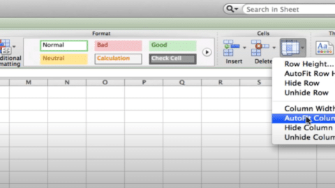 What Is the $ Symbol in Excel (Excel Formulas)? - projectcubicle