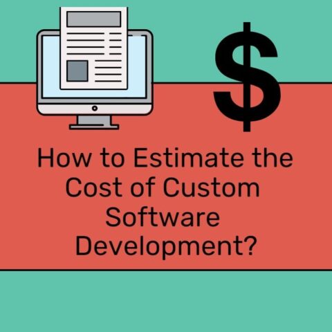 How to Estimate the Cost of Custom Software Development?